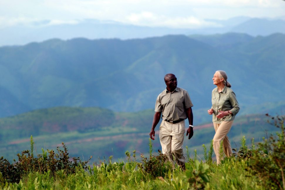 Les héros du JGI France – Jane Goodall Institute France