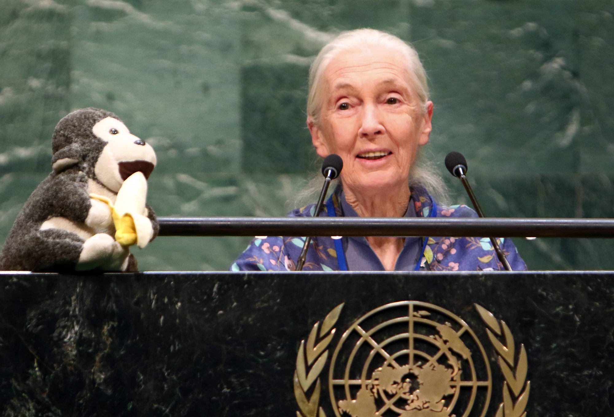 Nos actions sur le terrain en France – Jane Goodall Institute France